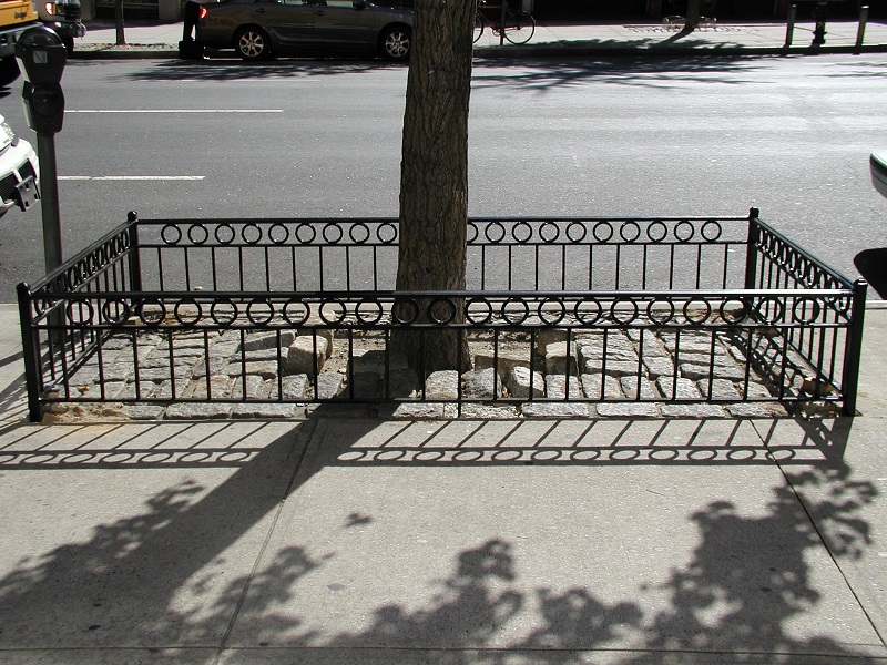 Tree Pit Guards - Steel Masters NYC