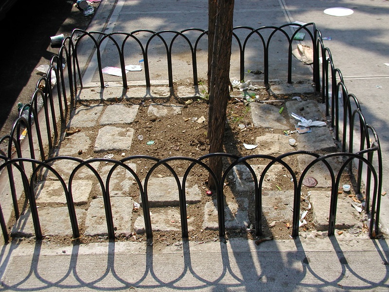 Tree Pit Guards - Steel Masters NYC