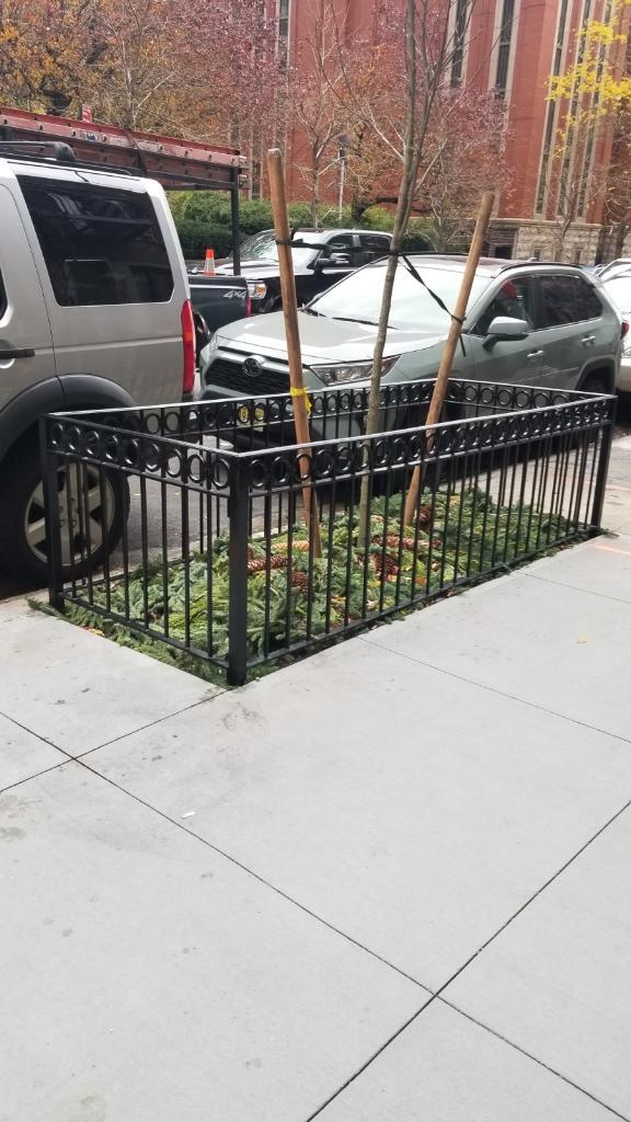 Tree Pit Guards - Steel Masters NYC