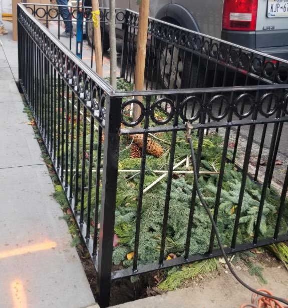 Tree Pit Guards - Steel Masters NYC