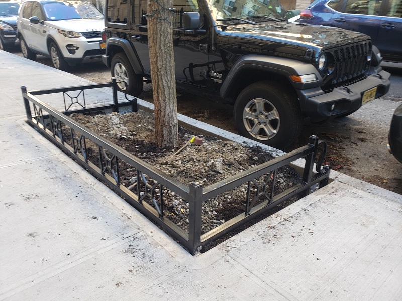 Tree Pit Guards - Steel Masters NYC